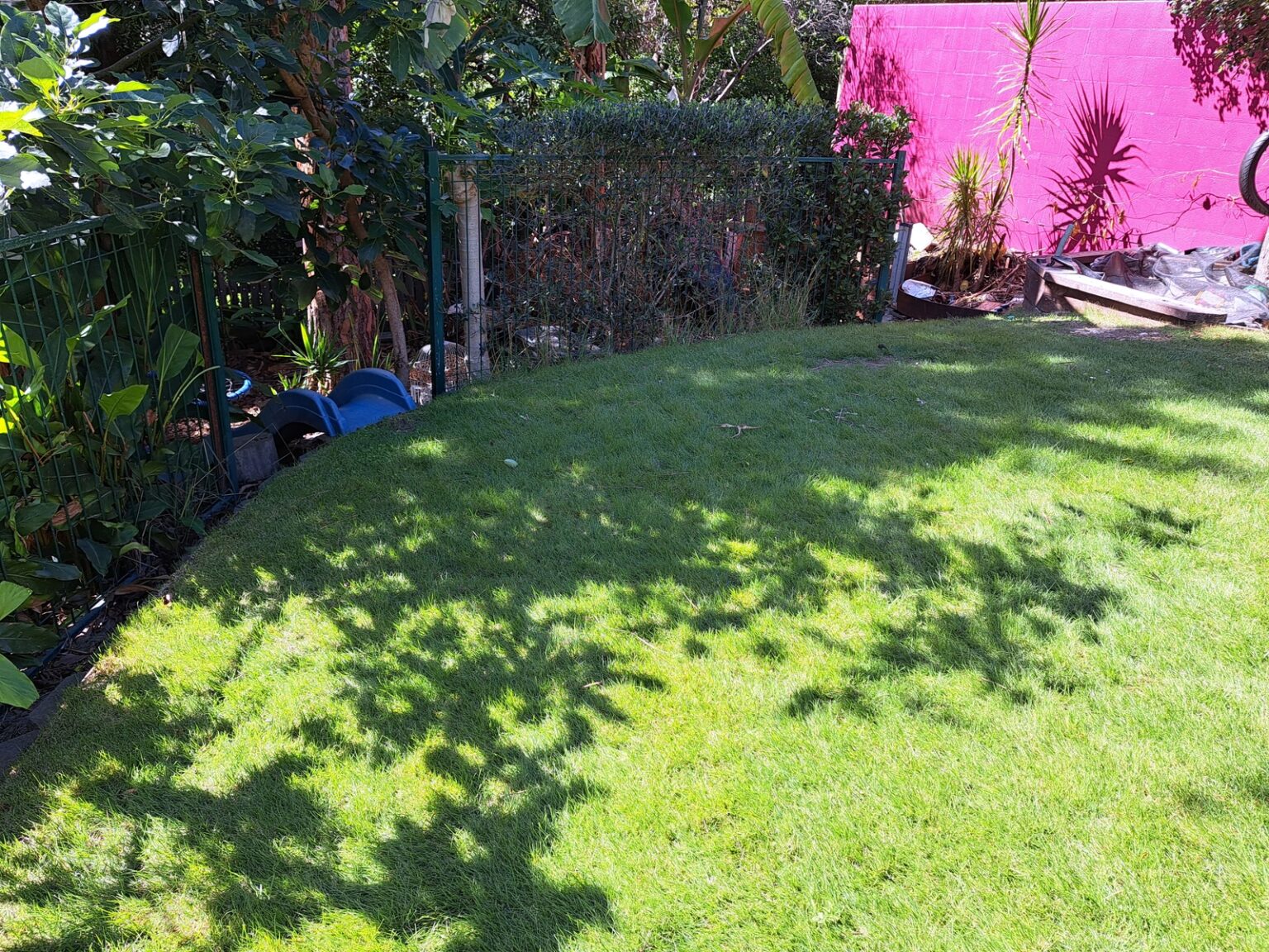 Resilient Landscapes – three all-new design tips for a better lawn ...